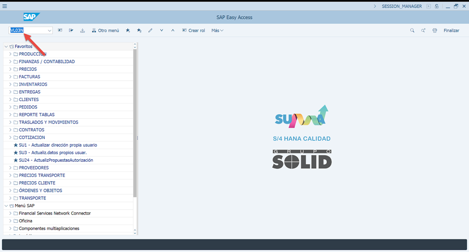 Artículo: Visualizar entrega individual - VL03N