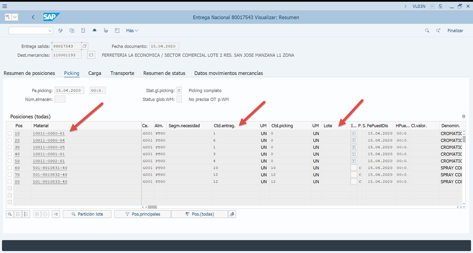 Artículo: Visualizar entrega individual - VL03N