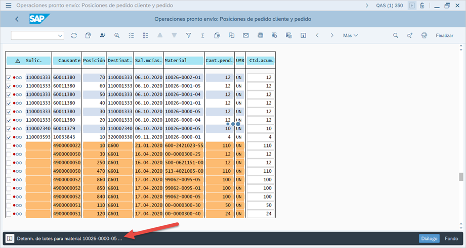 Artículo: Crear entregas en masivo - VL10A, VL10B, VL10C, VL10D, VL10G ...