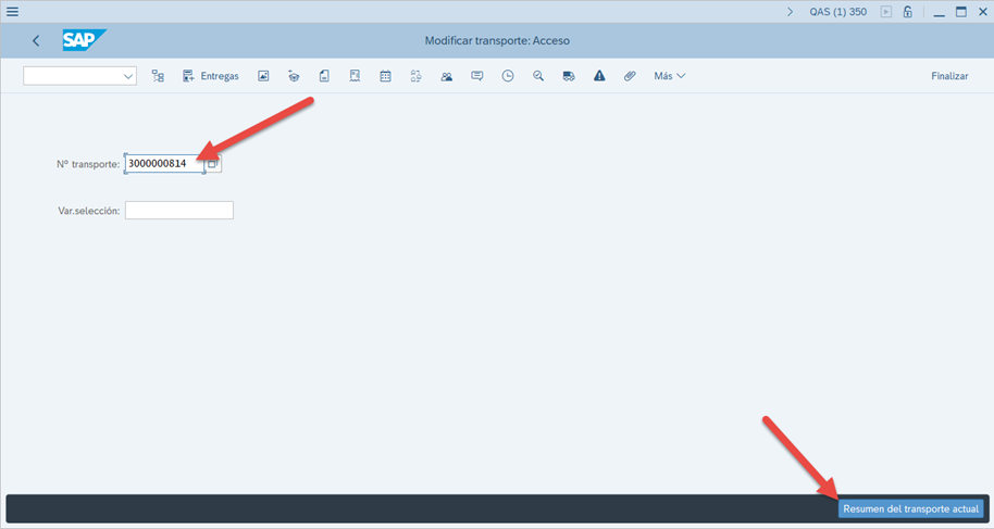 Artículo: Gestión de documento de transporte - VT02N