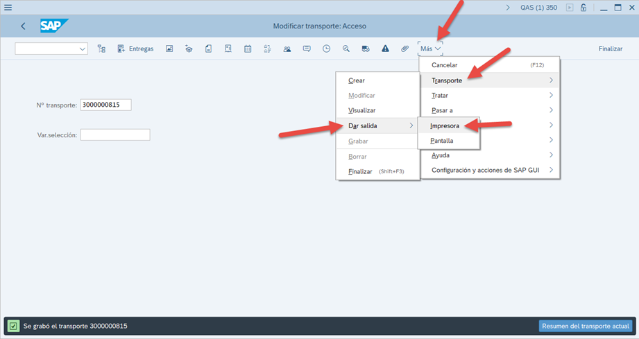 Artículo: Gestión de documento de transporte - VT02N