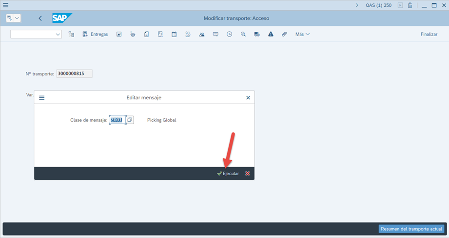 Artículo: Gestión de documento de transporte - VT02N