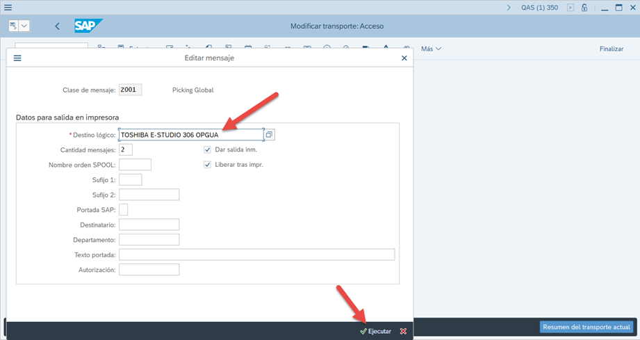Artículo: Gestión de documento de transporte - VT02N