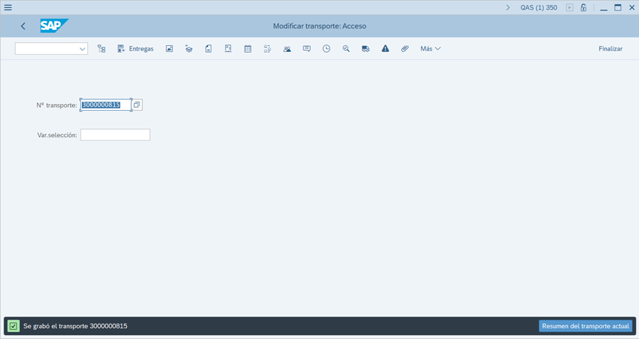 Artículo: Gestión de documento de transporte - VT02N