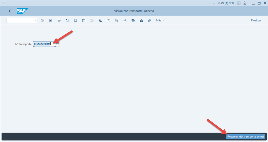Artículo: Gestión de documento de transporte - VT02N