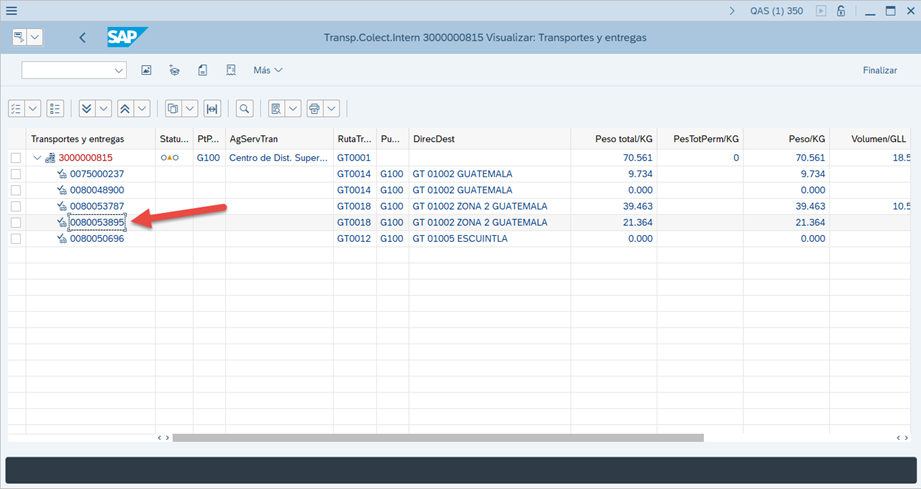 Artículo: Gestión de documento de transporte - VT02N