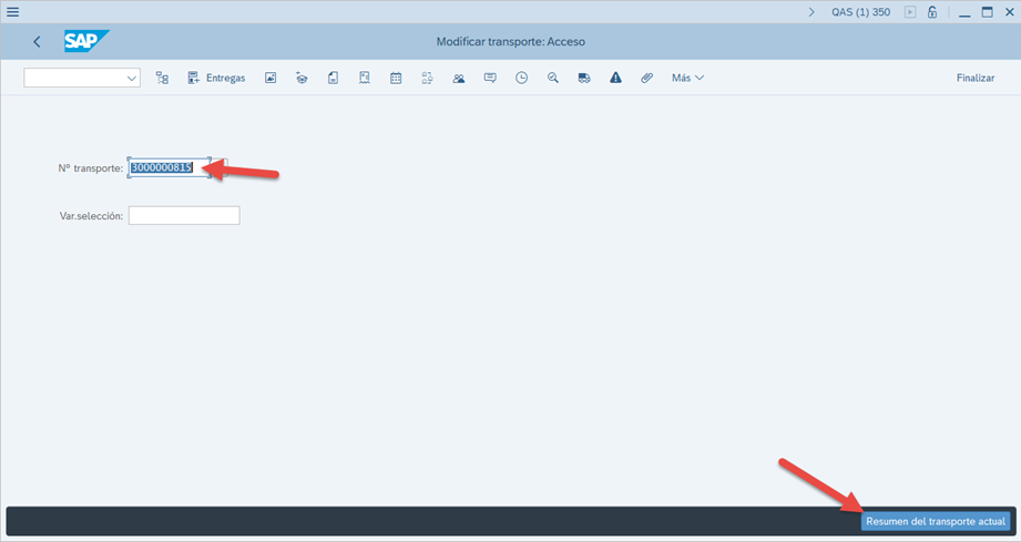Artículo: Gestión de documento de transporte - VT02N