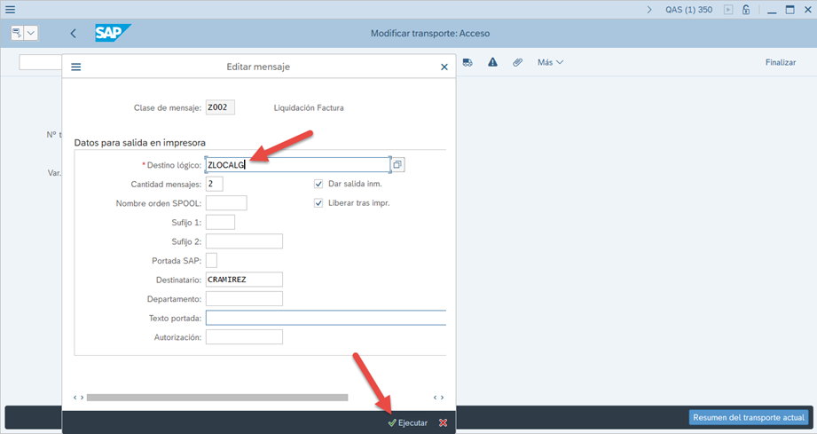 Artículo: Gestión de documento de transporte - VT02N