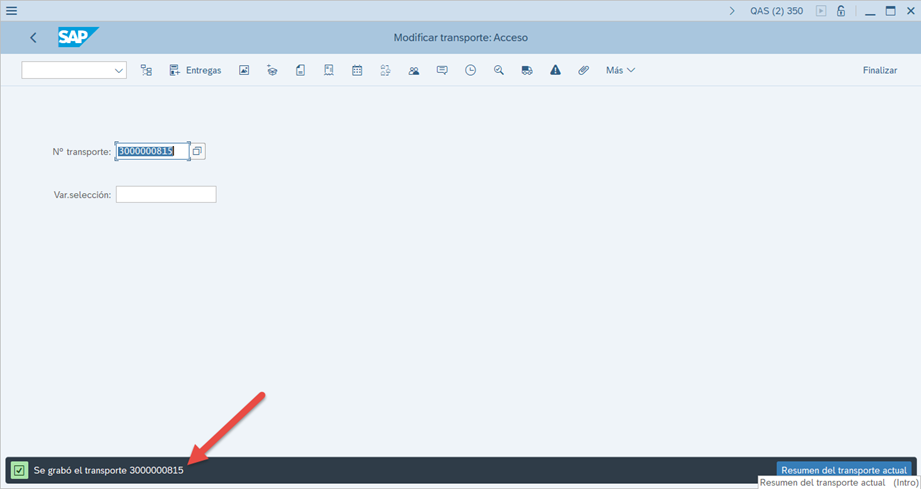 Artículo: Gestión de documento de transporte - VT02N