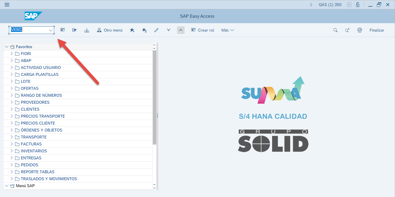Artículo: Liberar pedido retenido por créditos - VKM1