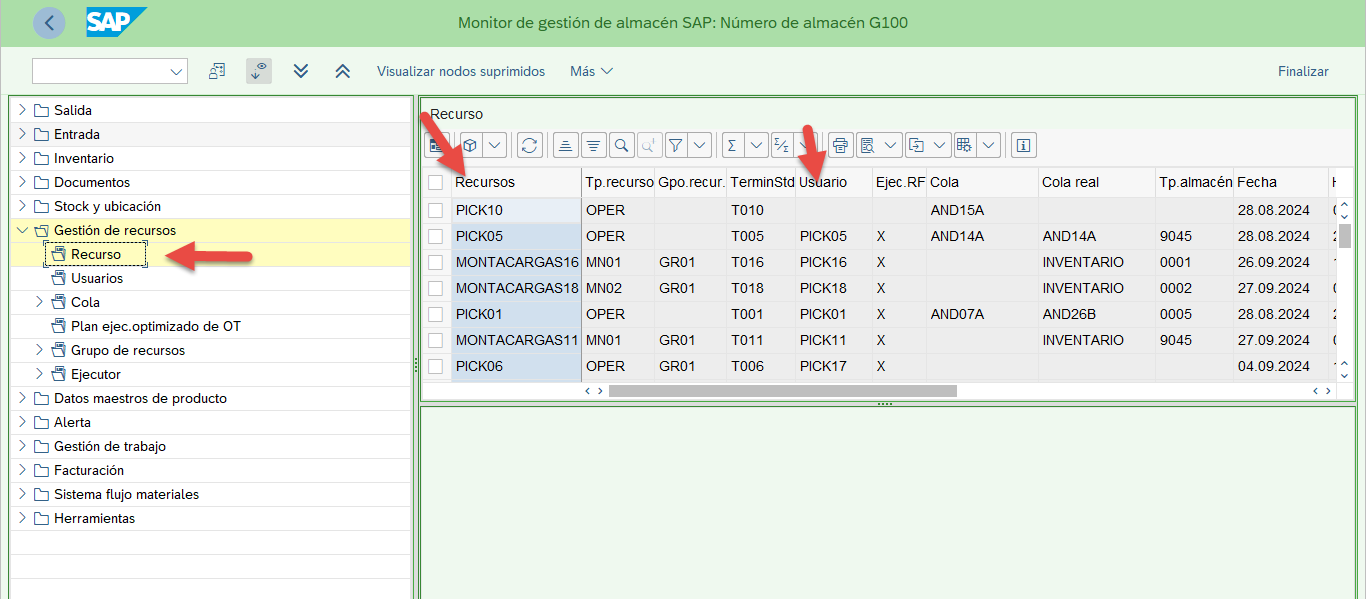 Artículo: Uso del Monitor del EWM /N/SCWM/MON